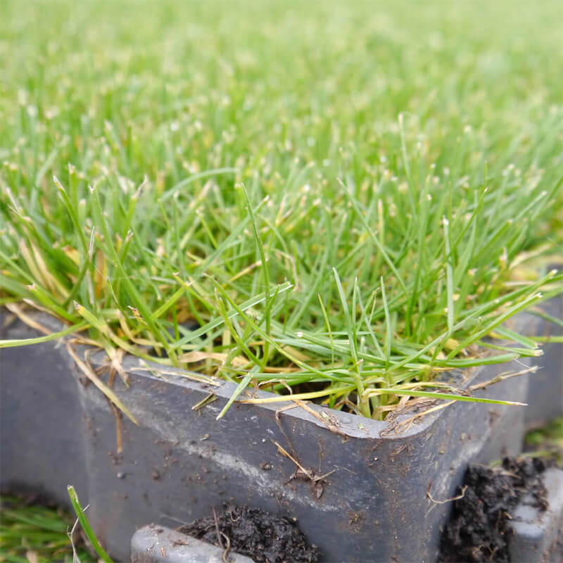 Grass Reinforcement Grids – Spudulica